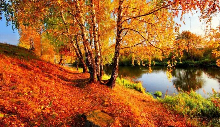 Картинки красивой осени (70 картинок) 🔥 Pinme.ru